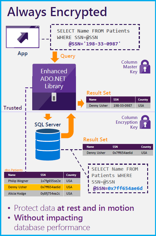 SQL Server 2016 - what are the new features? | Piktochart Infographic ...