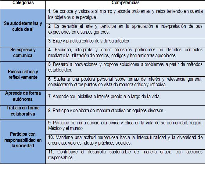 Las 11 competencias genéricas más importantes en el ámbito laboral